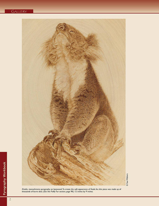Pyrography Workbook – Fox Chapel Publishing Co.