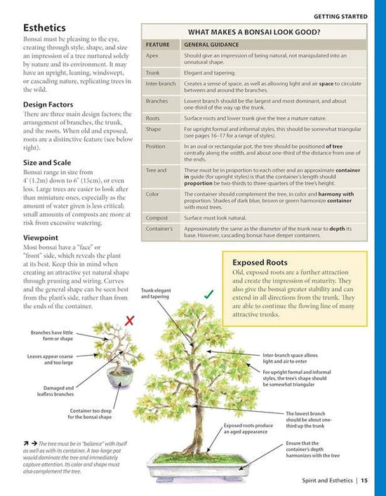 Complete Starter Guide to Bonsai | Fox Chapel Publishing Co.