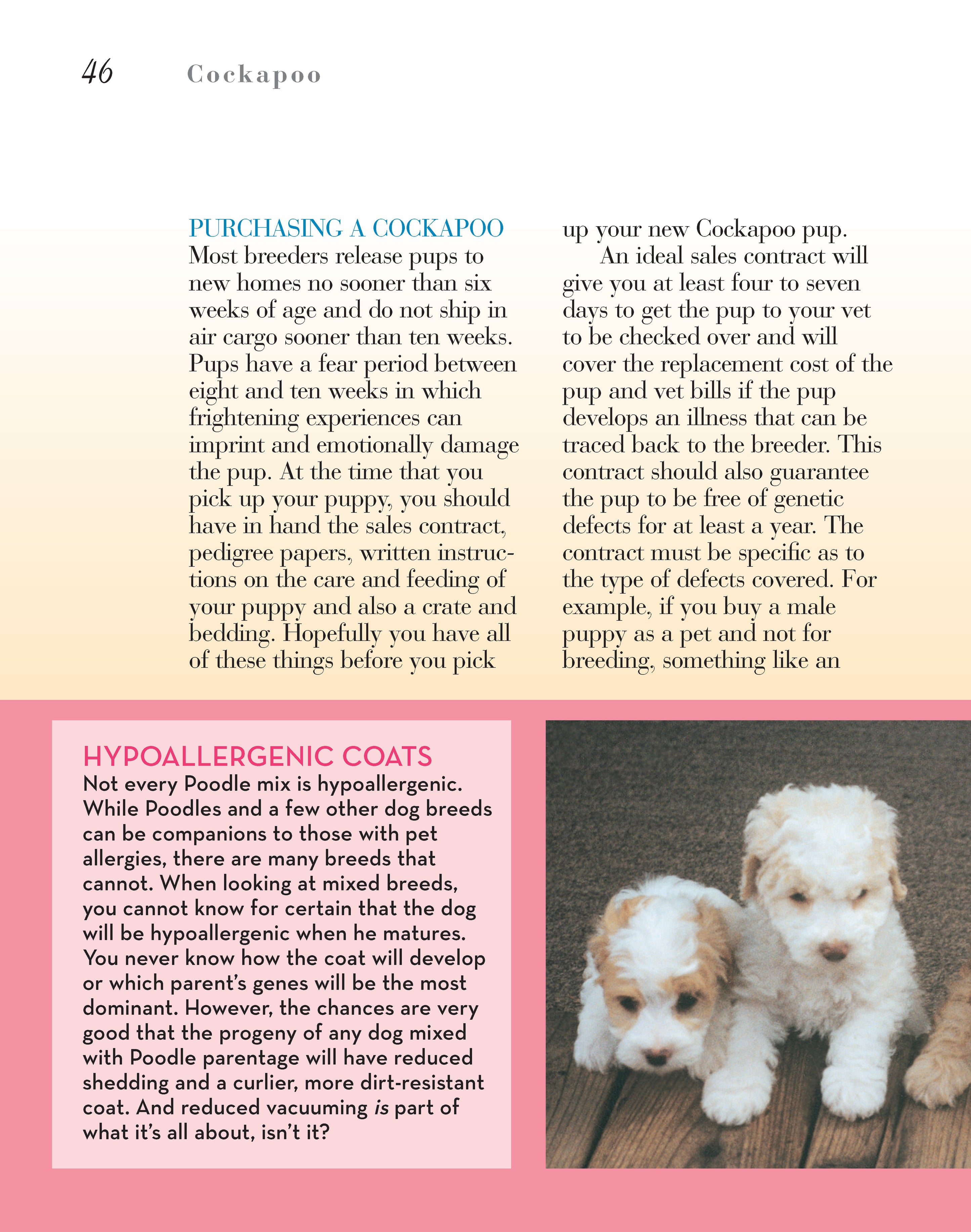 Cockapoo | Fox Chapel Publishing Co.