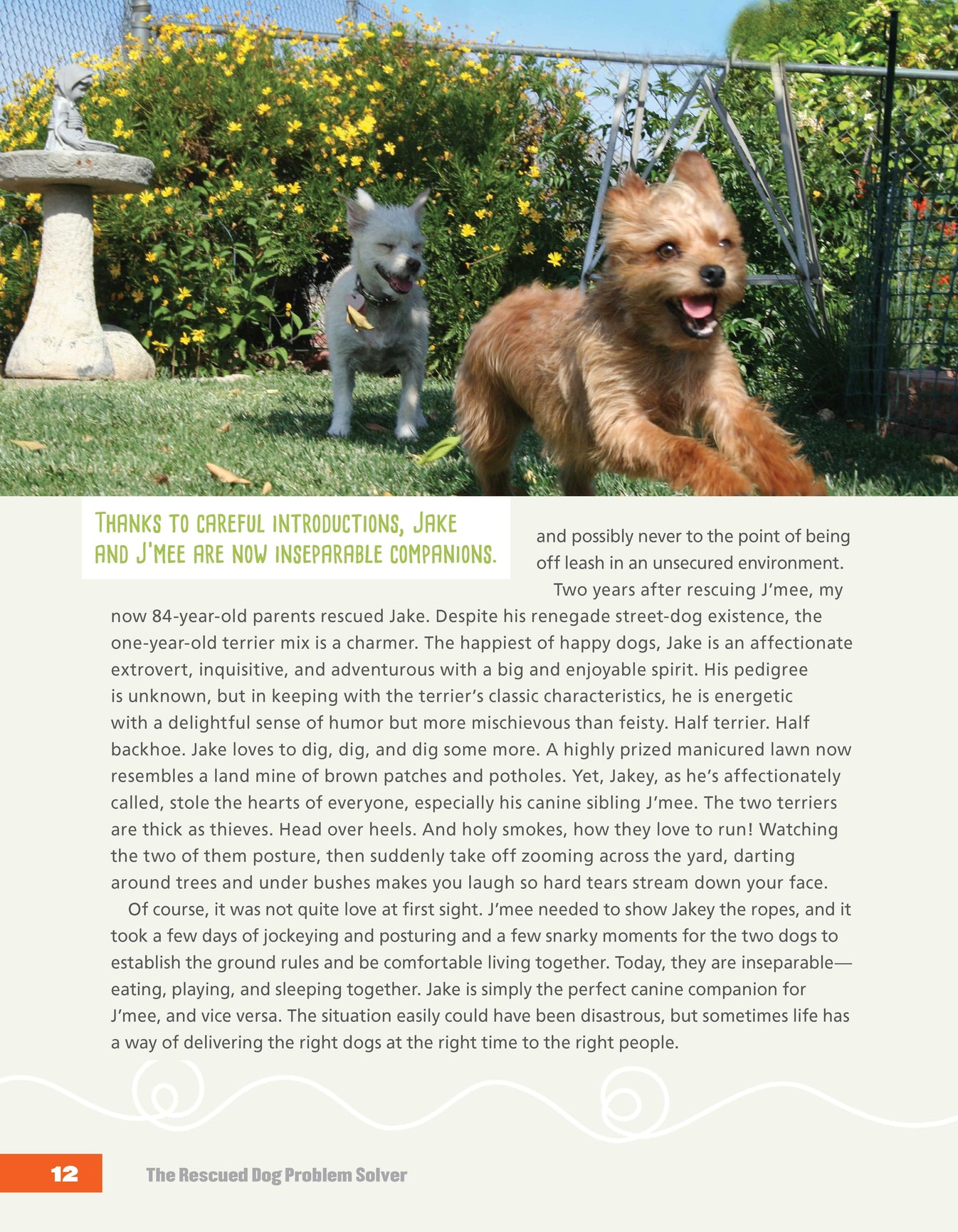 The Rescued Dog Problem Solver – Fox Chapel Publishing Co.