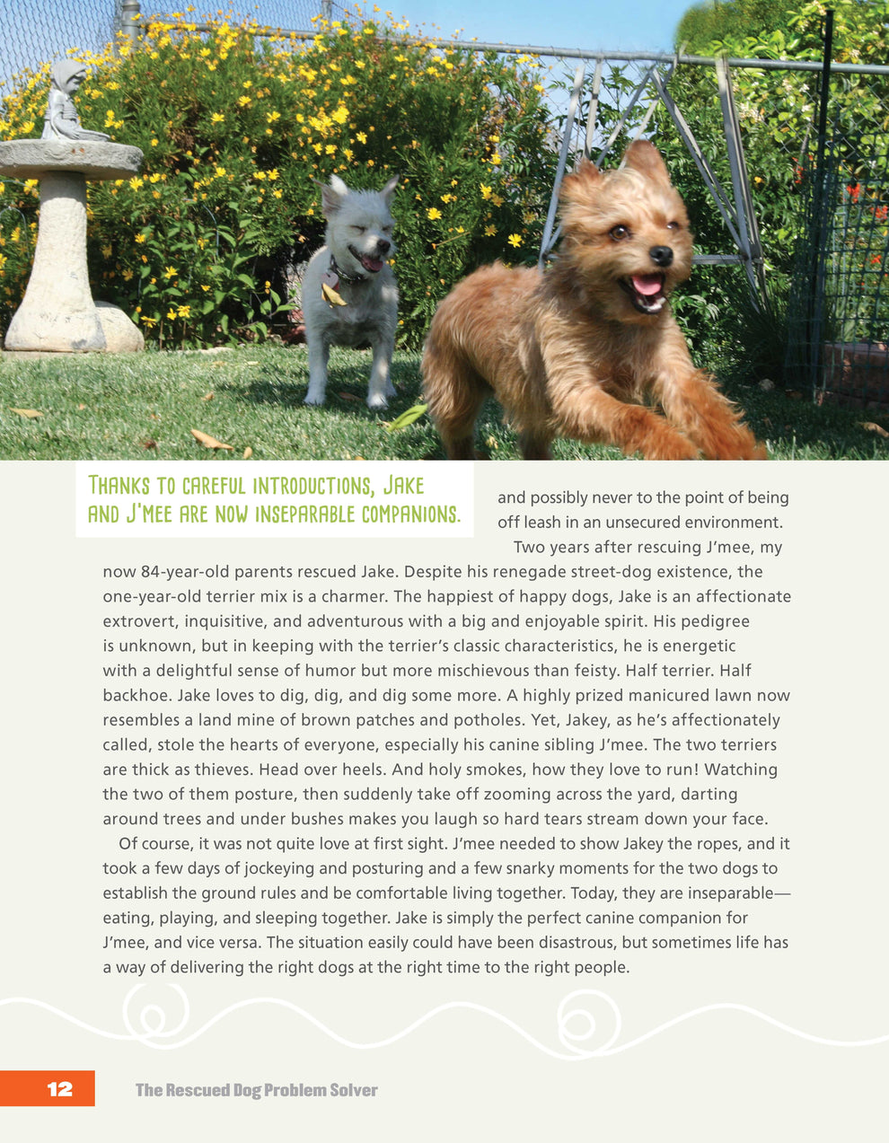 The Rescued Dog Problem Solver – Fox Chapel Publishing Co.