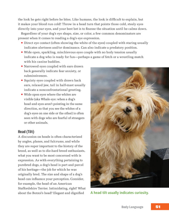 The Rescued Dog Problem Solver – Fox Chapel Publishing Co.