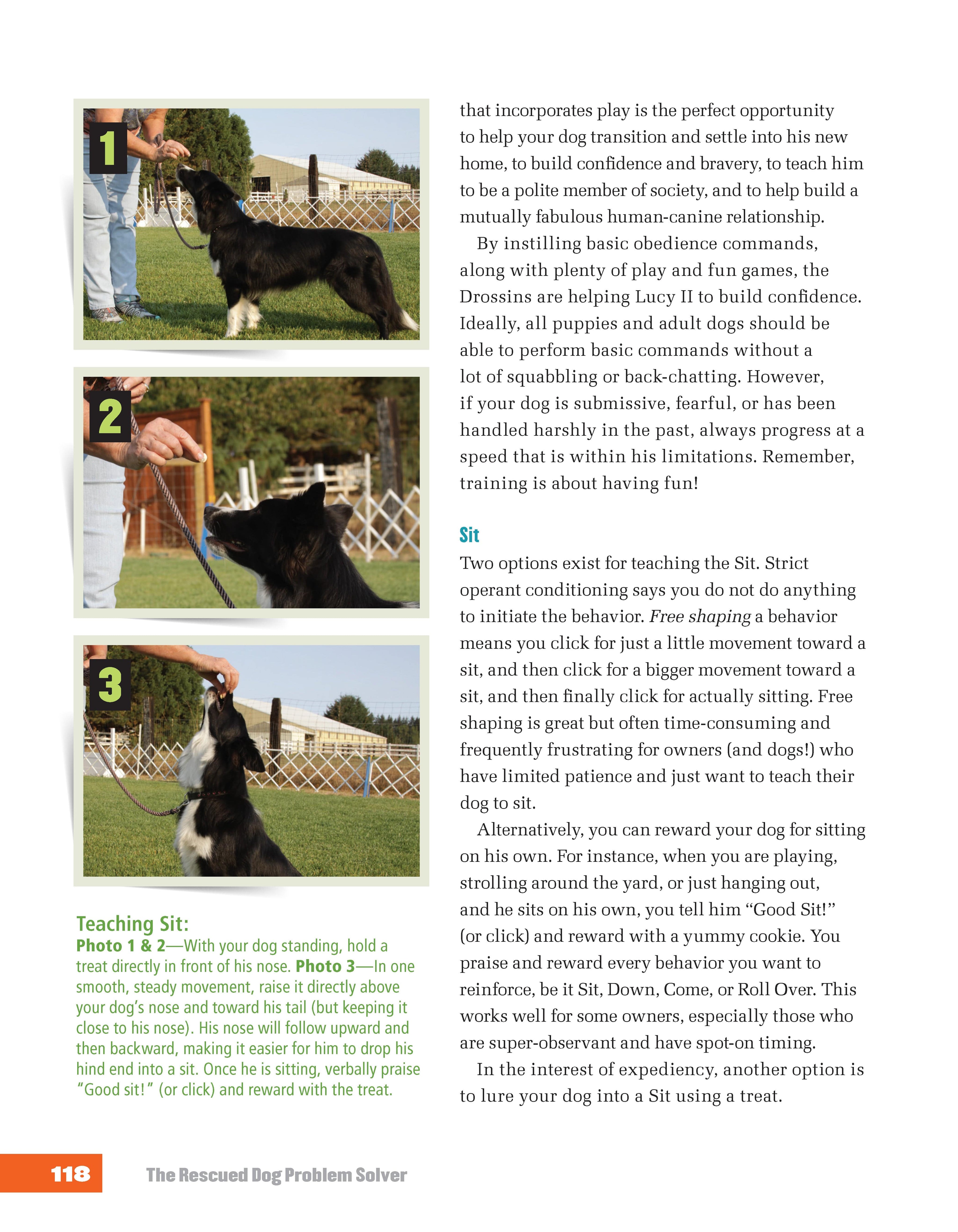 The Rescued Dog Problem Solver – Fox Chapel Publishing Co.