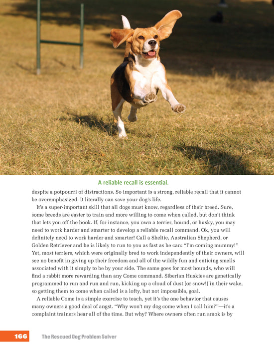 The Rescued Dog Problem Solver – Fox Chapel Publishing Co.