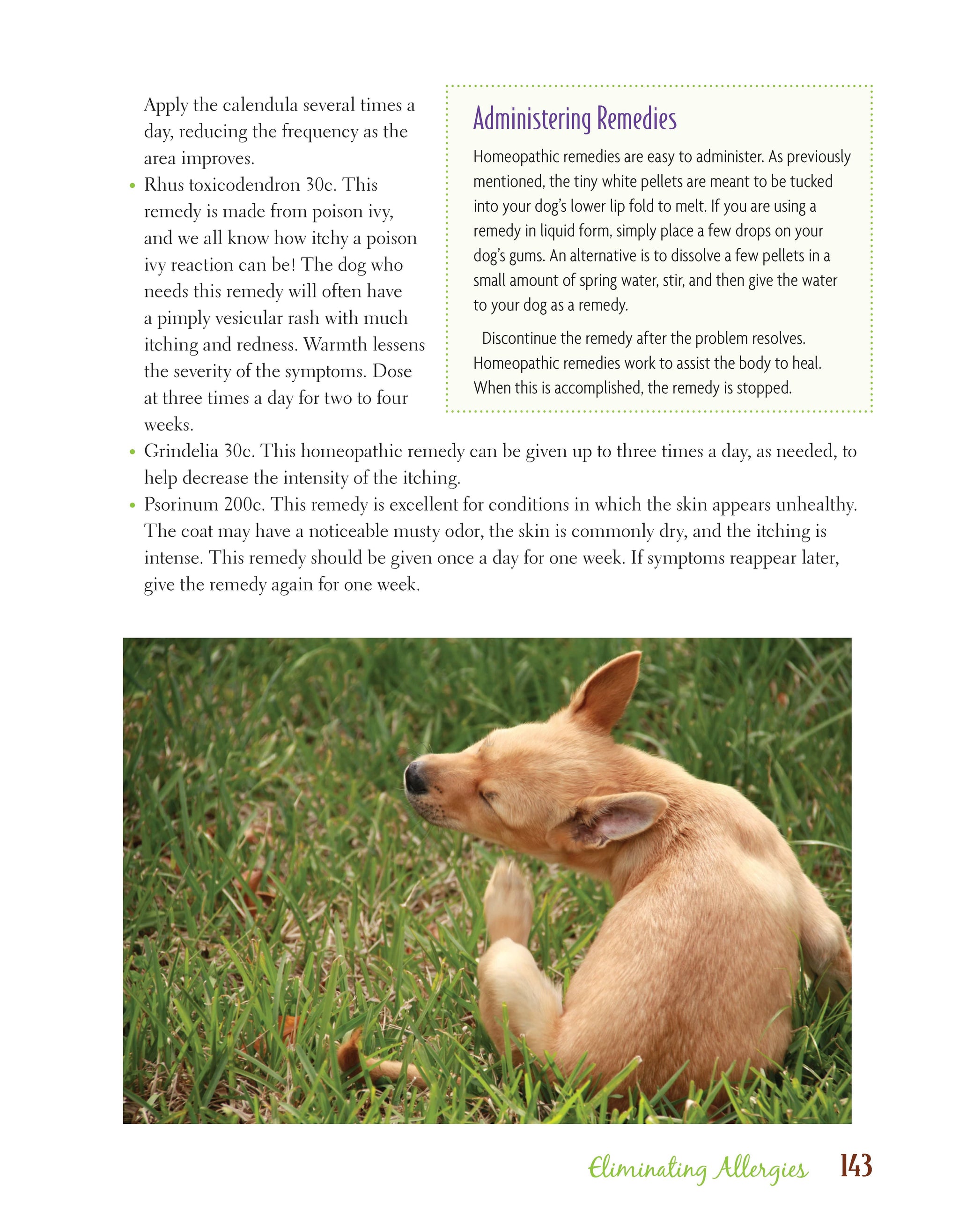 Dr. Khalsa's Natural Dog – Fox Chapel Publishing Co.