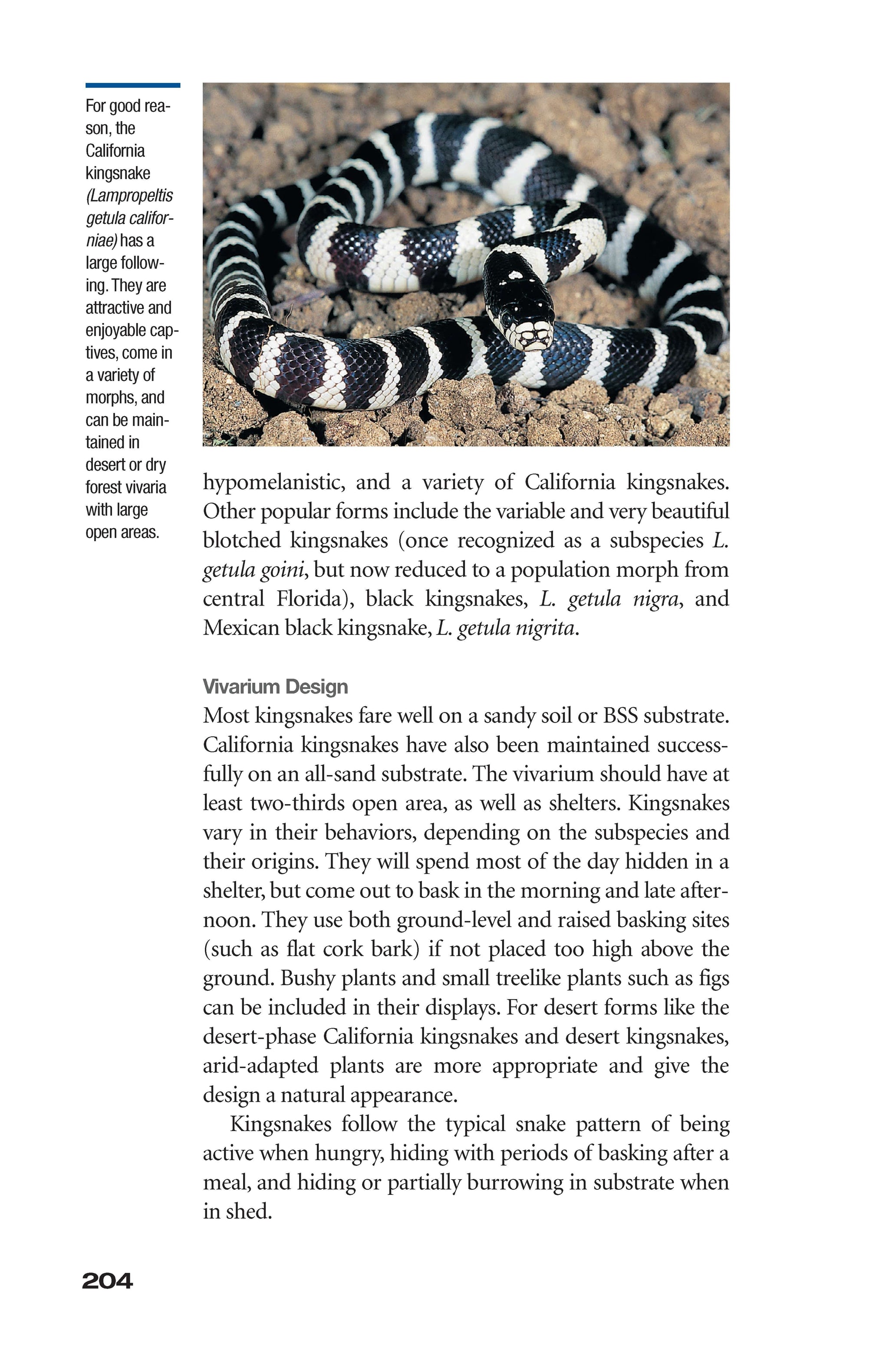 The Art of Keeping Snakes – Fox Chapel Publishing Co.