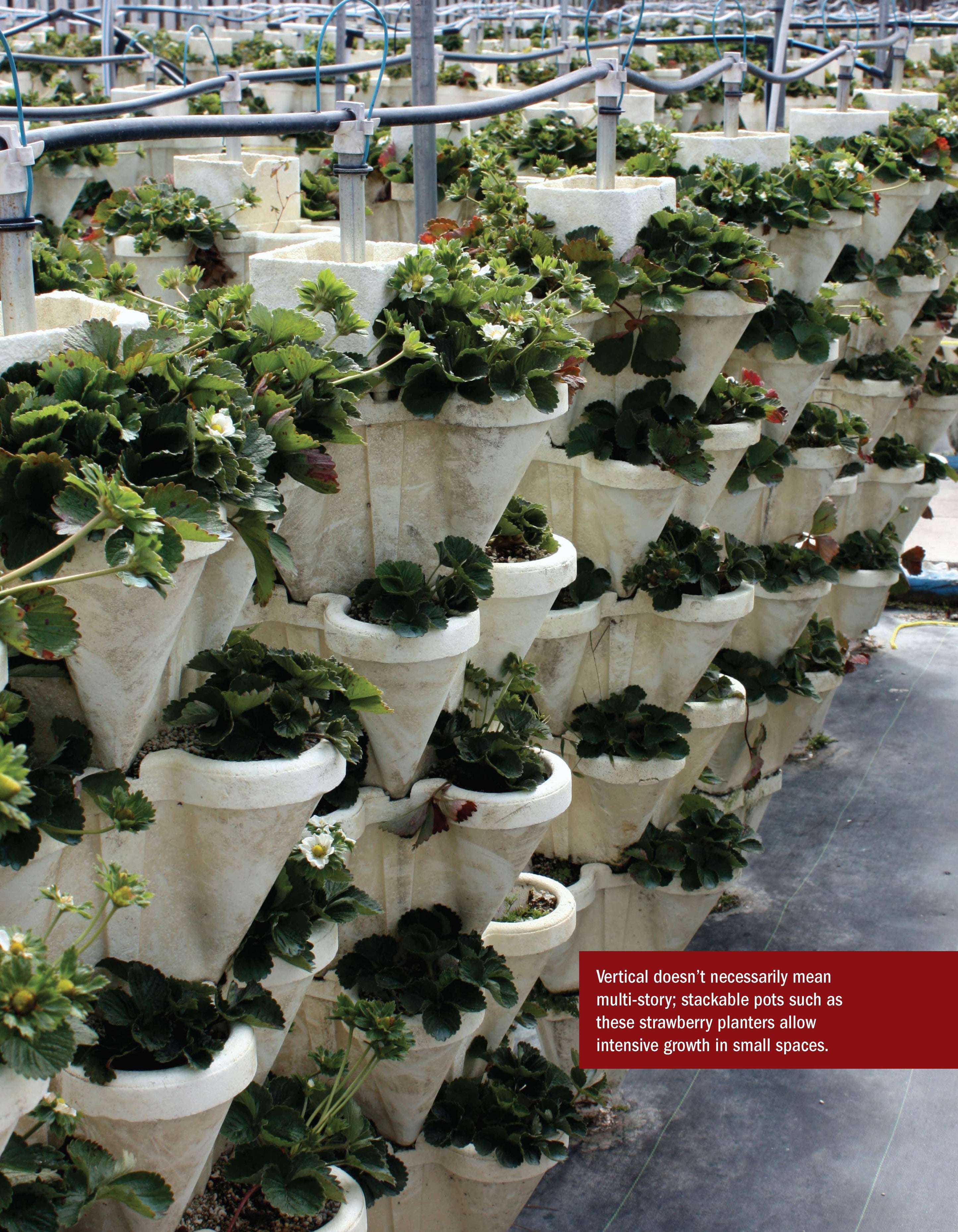 Urban Farming 2nd Ed | Fox Chapel Publishing Co.