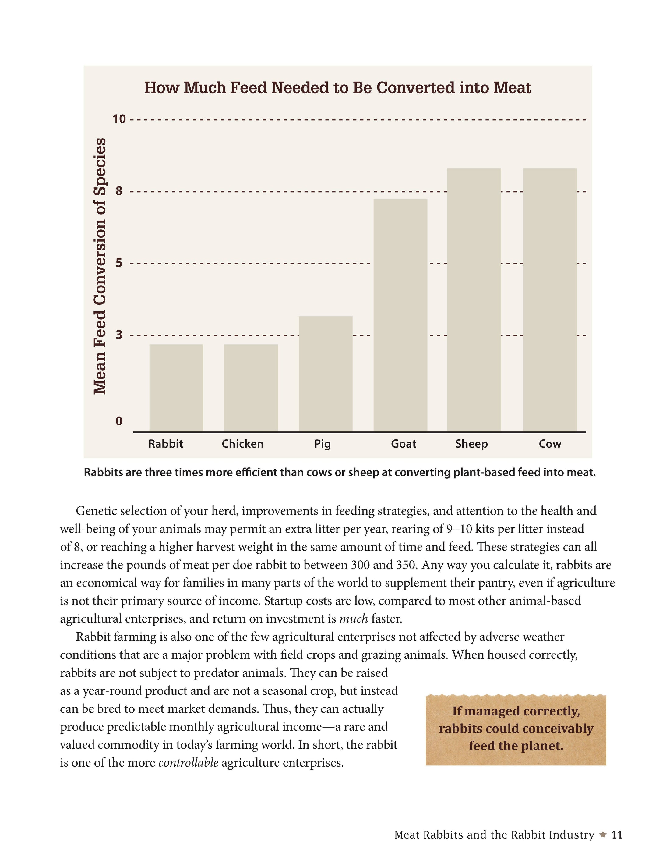 A Practical Guide to Rabbit Ranching – Fox Chapel Publishing Co.