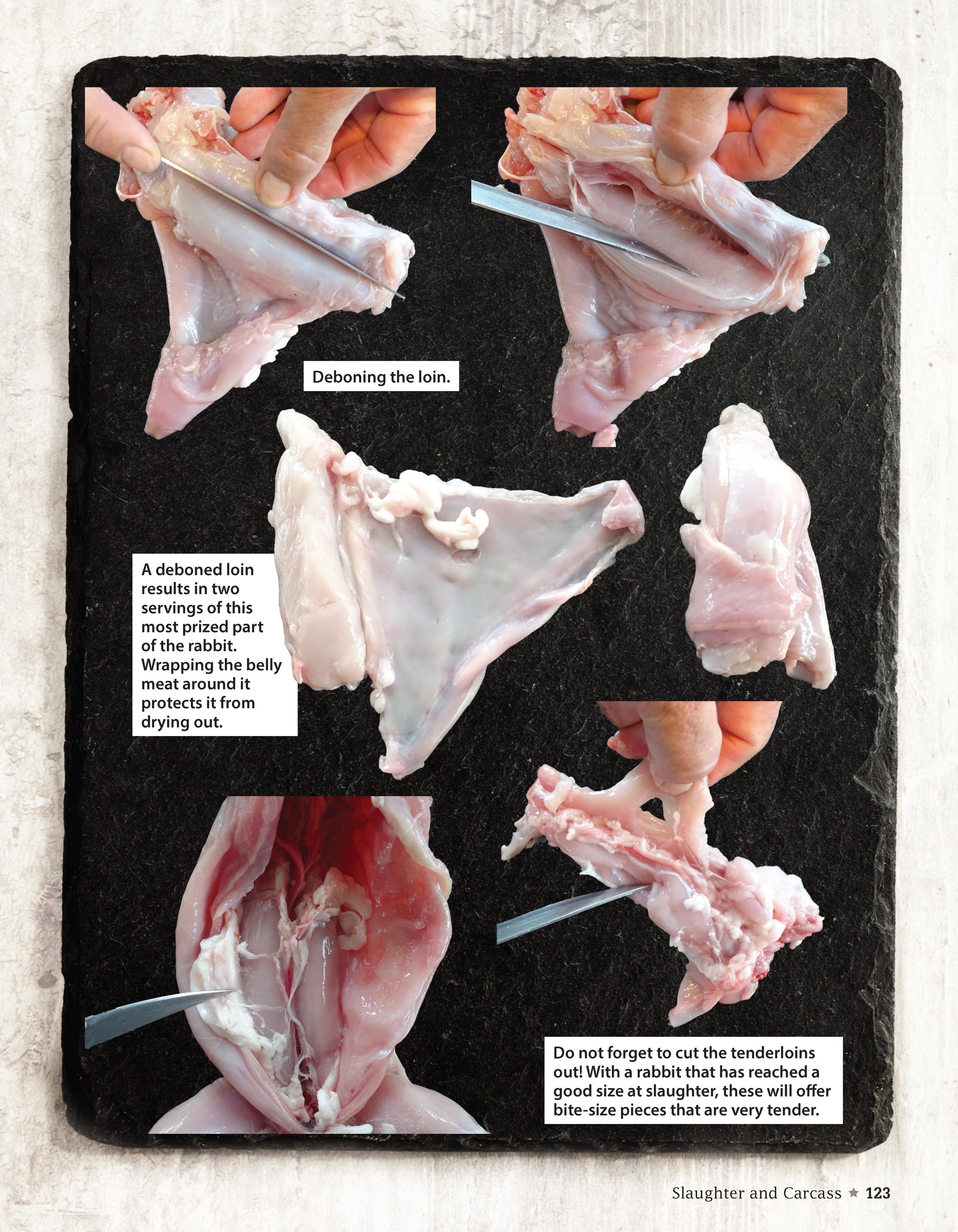 A Practical Guide to Rabbit Ranching – Fox Chapel Publishing Co.