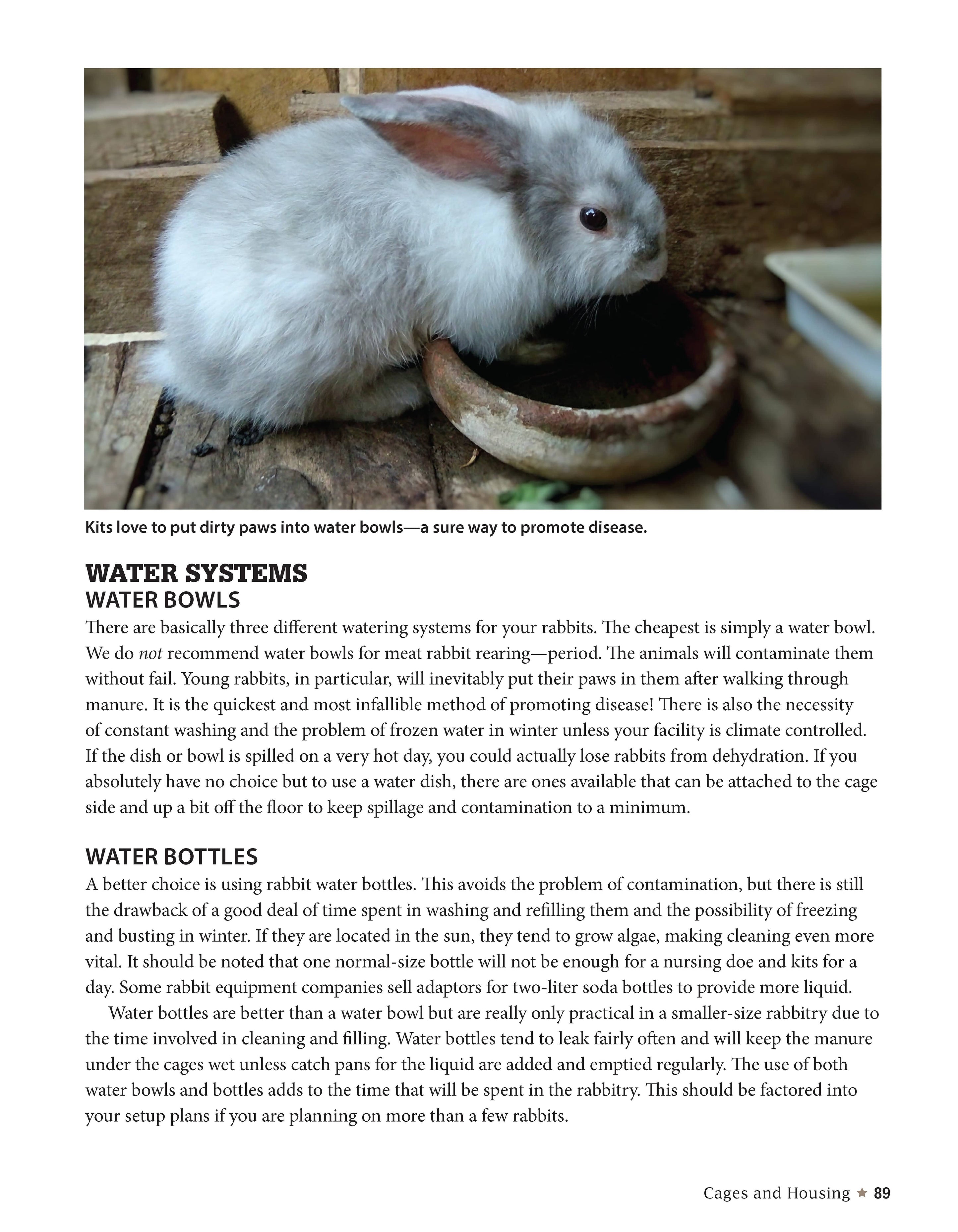 A Practical Guide to Rabbit Ranching – Fox Chapel Publishing Co.