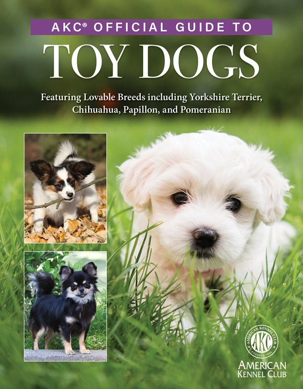 AKC Official Guide to Toy Dogs | Fox Chapel Publishing Co.