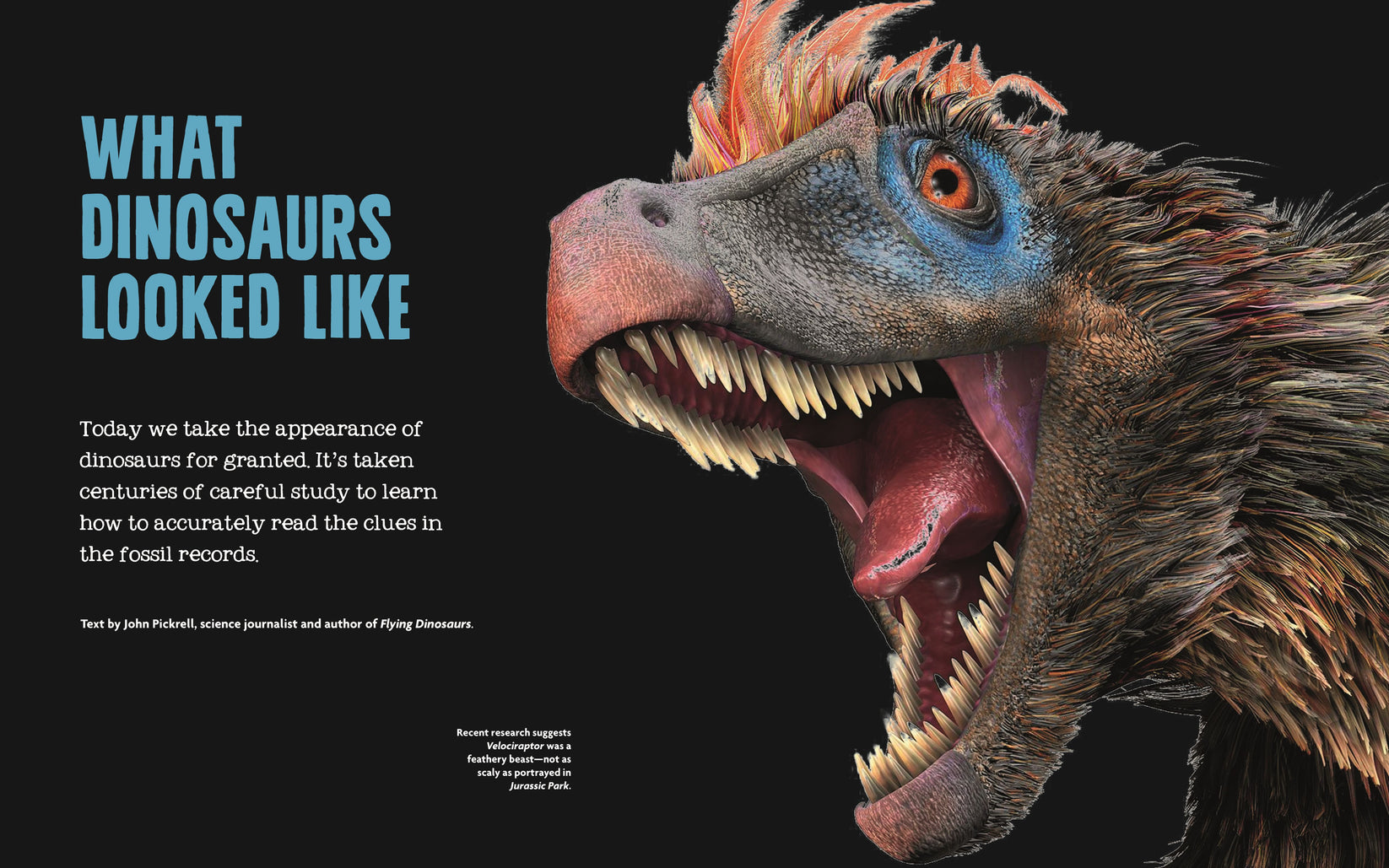 Dinosaurs – Fox Chapel Publishing Co.