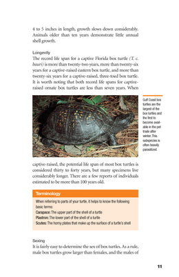 The Box Turtle Manual – Fox Chapel Publishing Co.