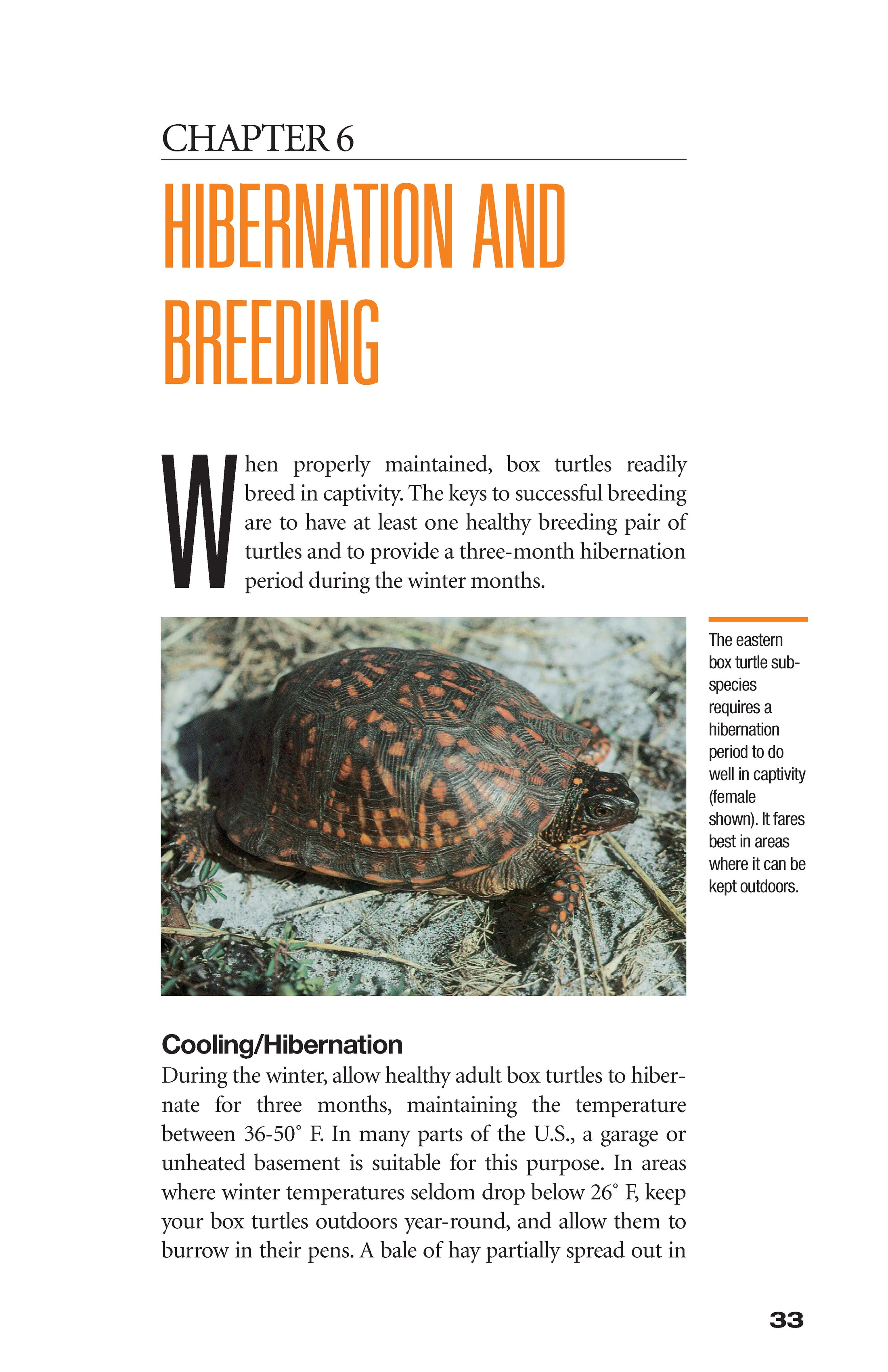 The Box Turtle Manual | Fox Chapel Publishing Co.