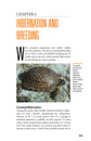 The Box Turtle Manual – Fox Chapel Publishing Co.