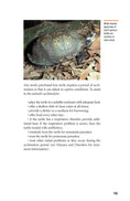 The Box Turtle Manual – Fox Chapel Publishing Co.