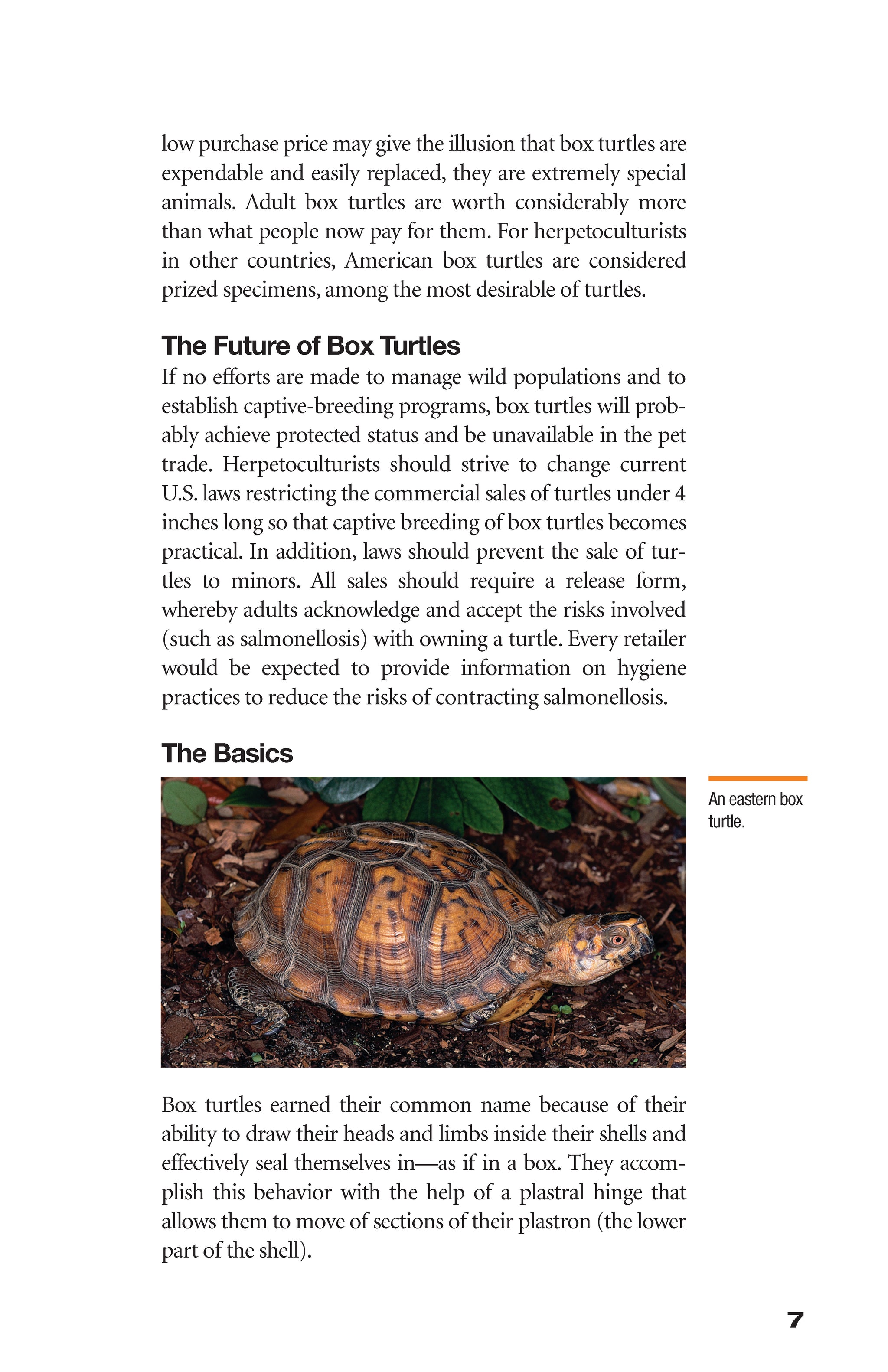 The Box Turtle Manual | Fox Chapel Publishing Co.