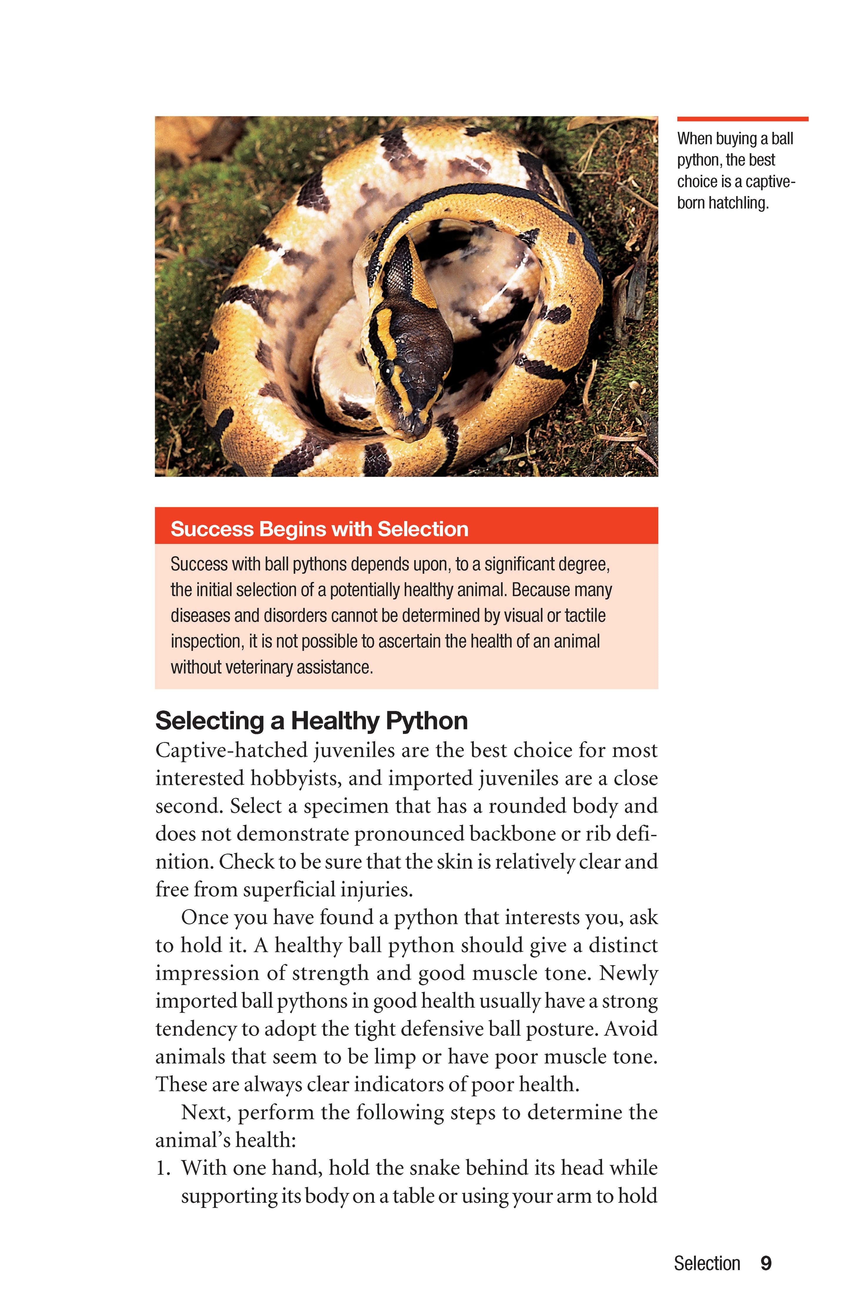 The Ball Python Manual – Fox Chapel Publishing Co.