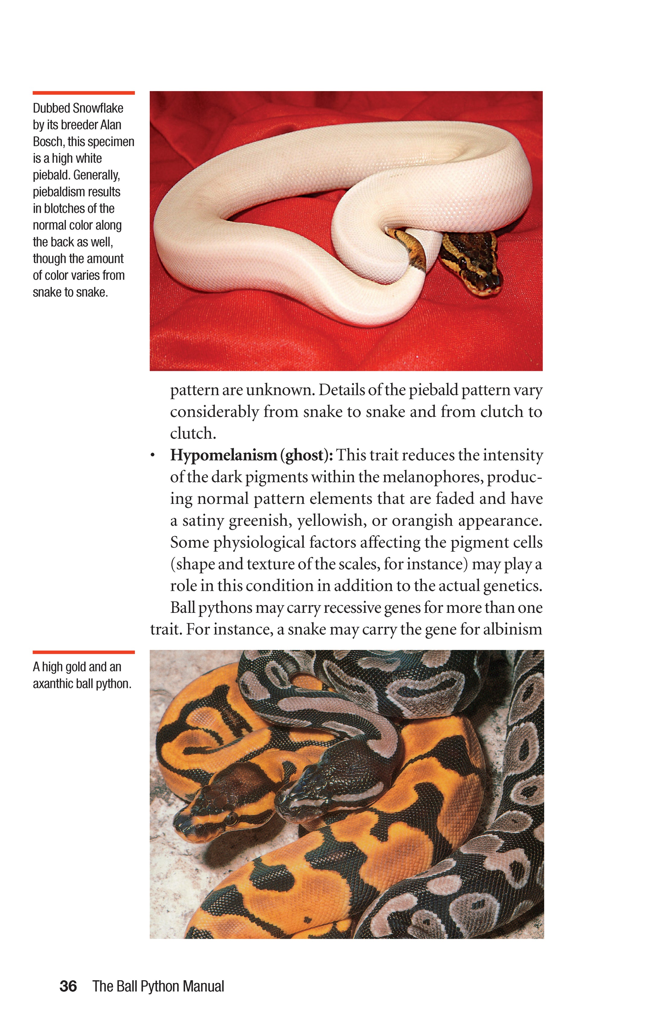 The Ball Python Manual – Fox Chapel Publishing Co.