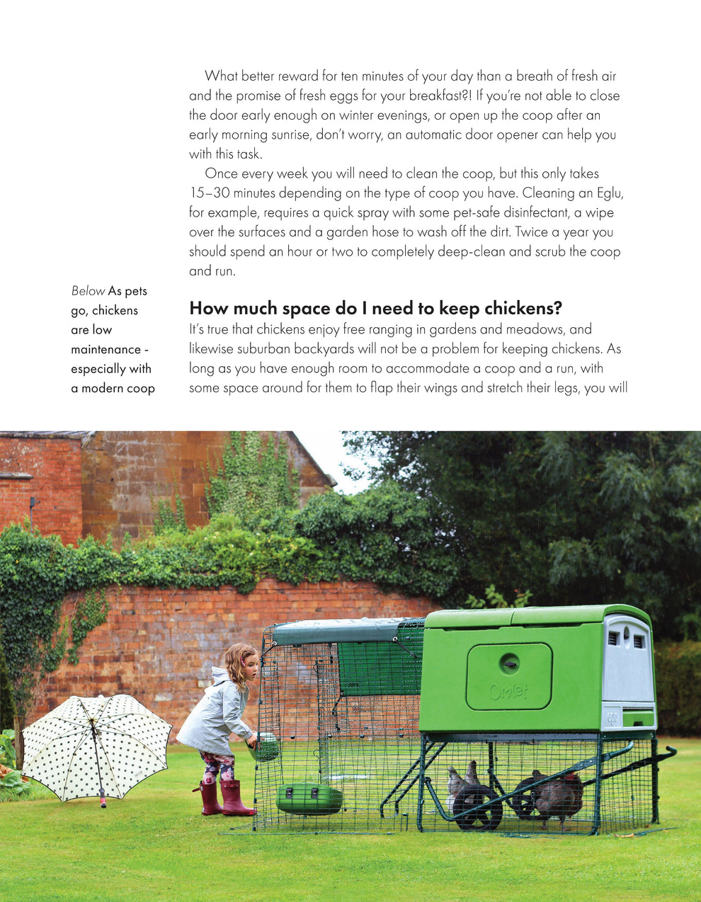 What the Cluck? | Fox Chapel Publishing Co.