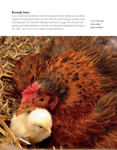 What the Cluck? | Fox Chapel Publishing Co.