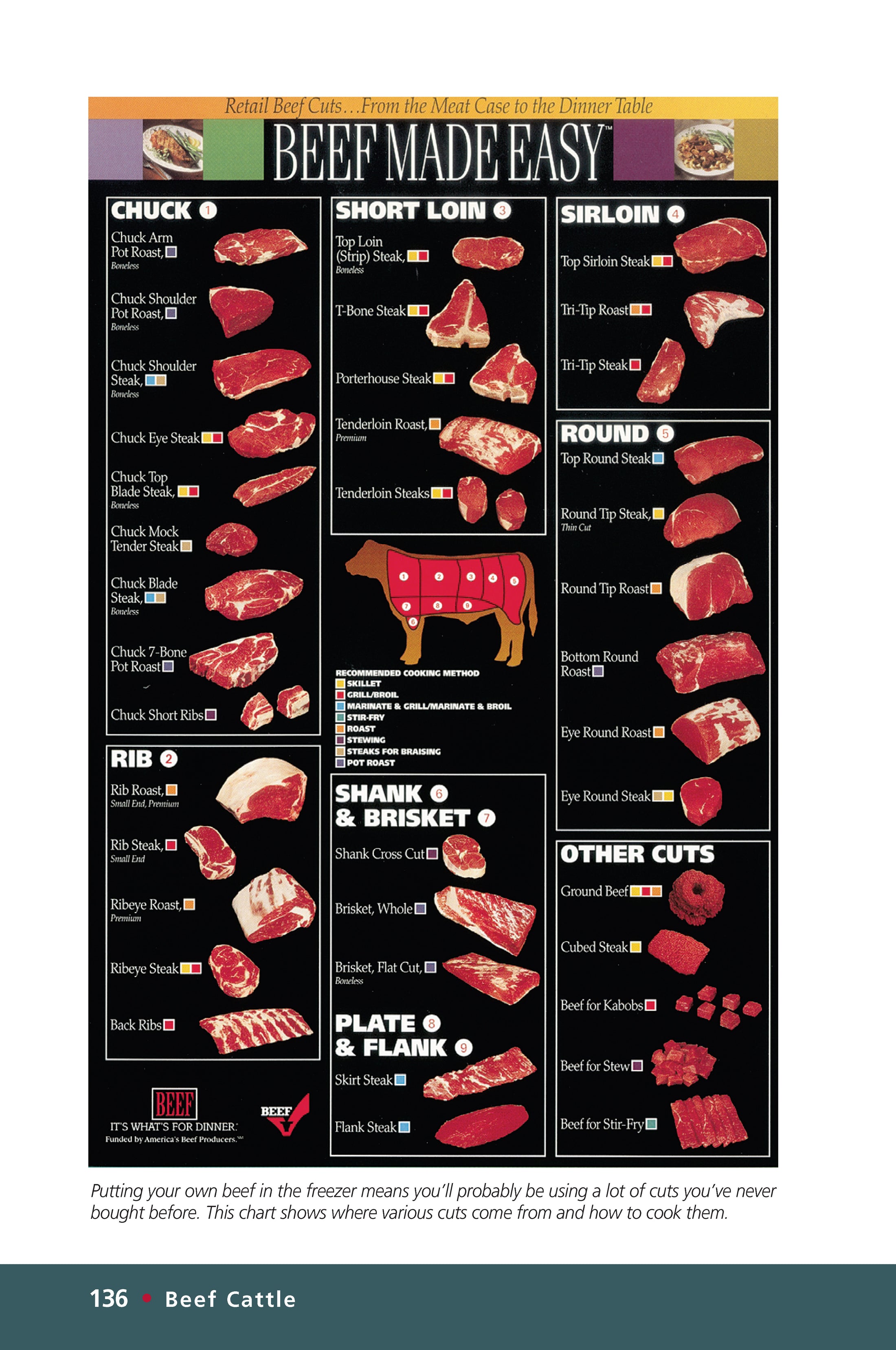 Beef Cattle | Fox Chapel Publishing Co.