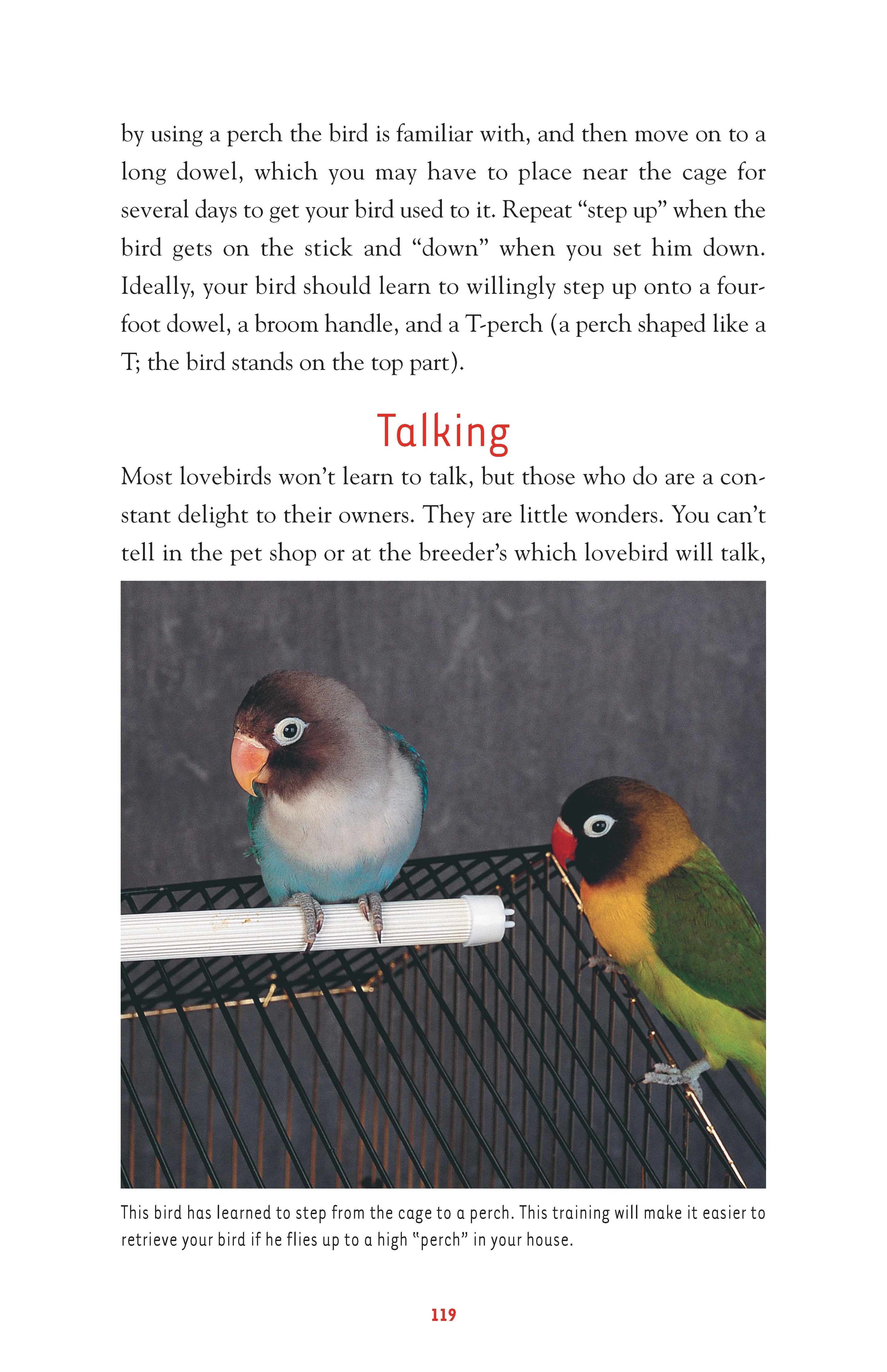 Lovebirds | Fox Chapel Publishing Co.