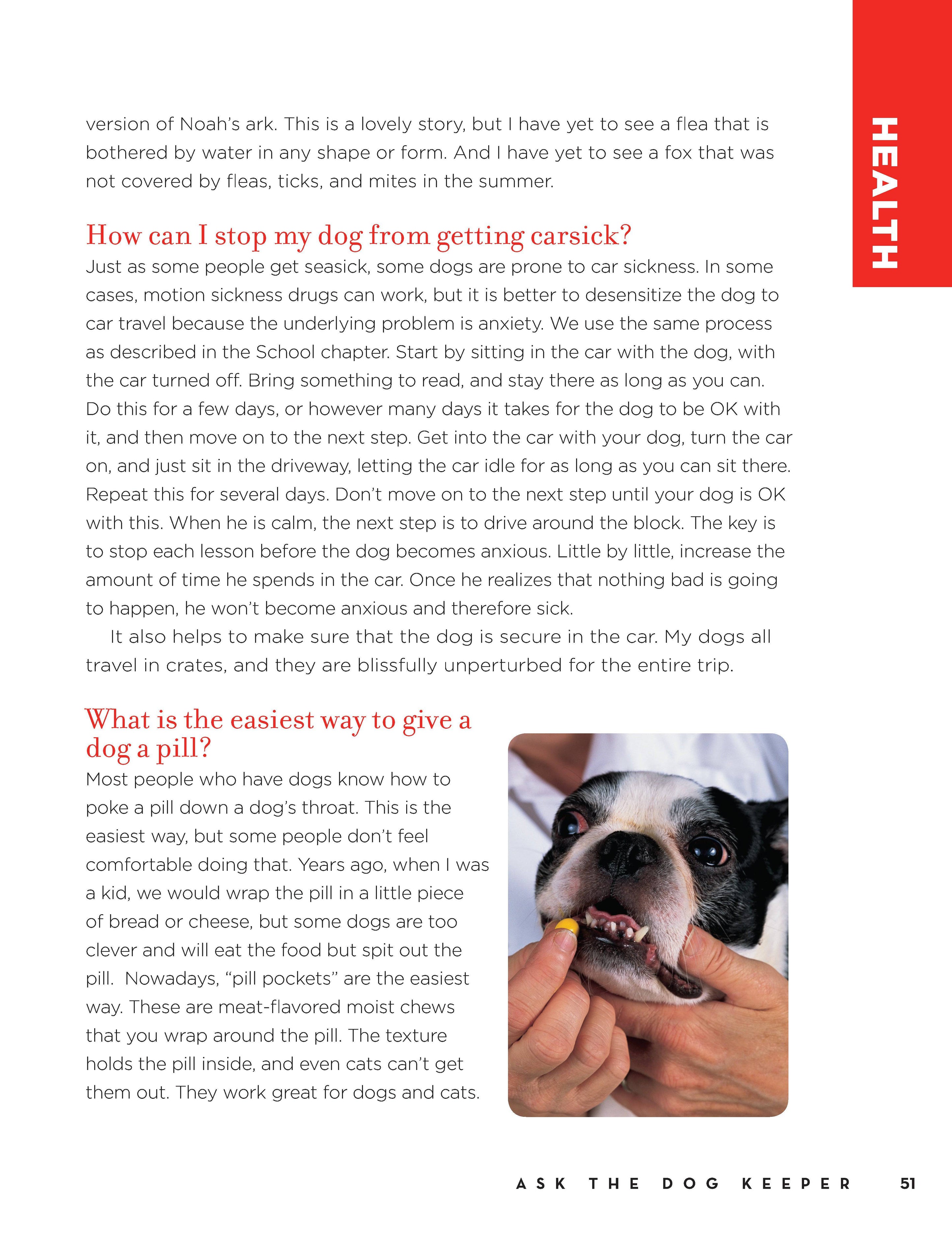 Marc Morrone's Ask the Dog Keeper – Fox Chapel Publishing Co.