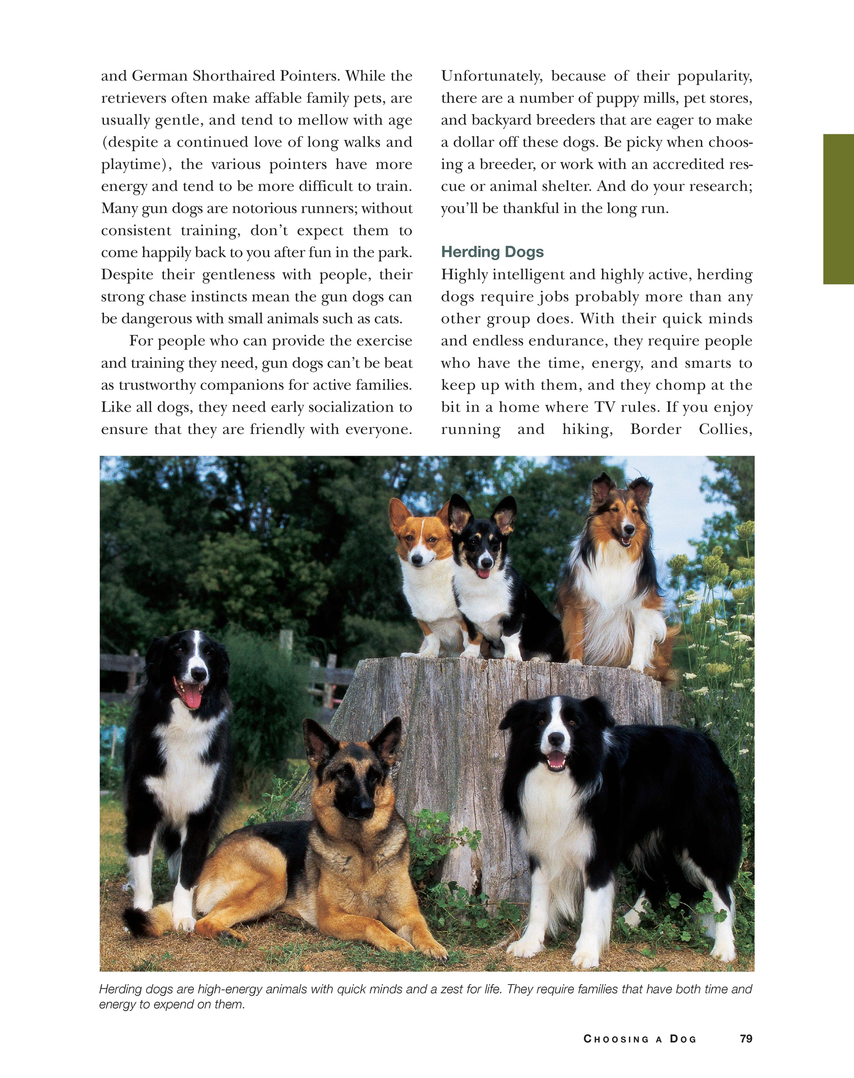 Original Dog Bible, 2nd Edition – Fox Chapel Publishing Co.