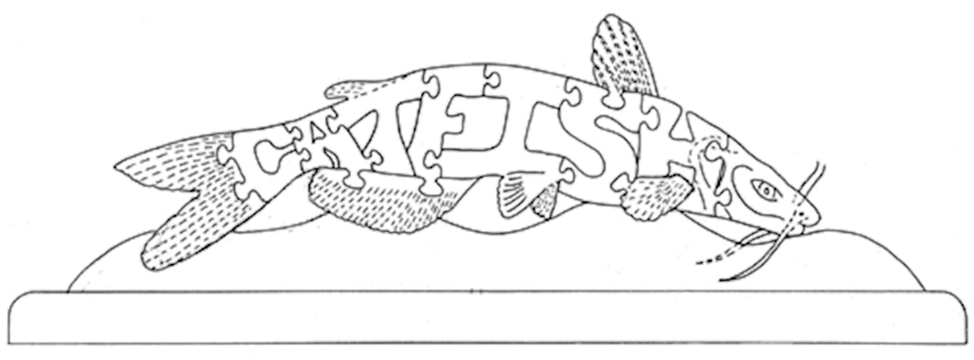 Woodimals – Fox Chapel Publishing Co.