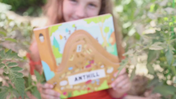 Discovering the Active World of the Anthill | Fox Chapel Publishing Co.